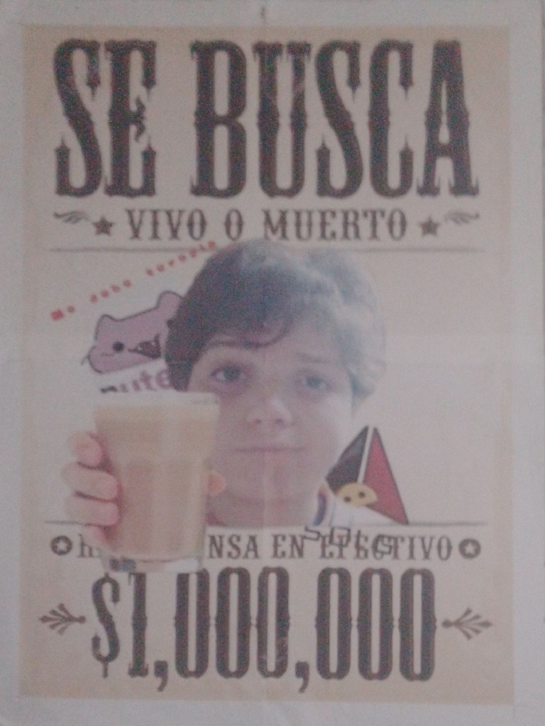 Escaneado 20250508-1816 | PDF