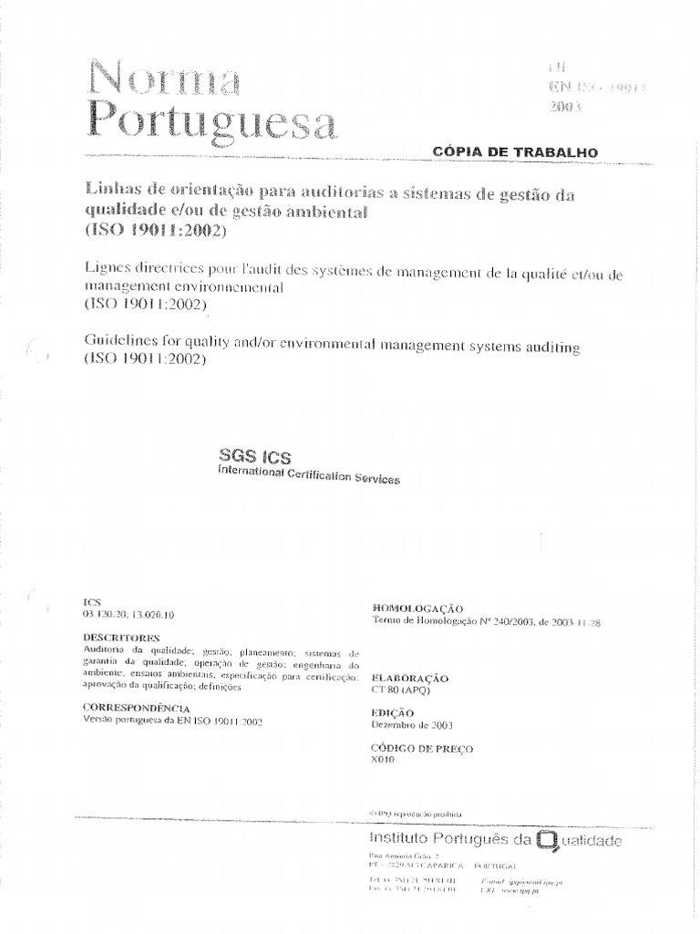 NP en Iso 19011 - 2003 | PDF