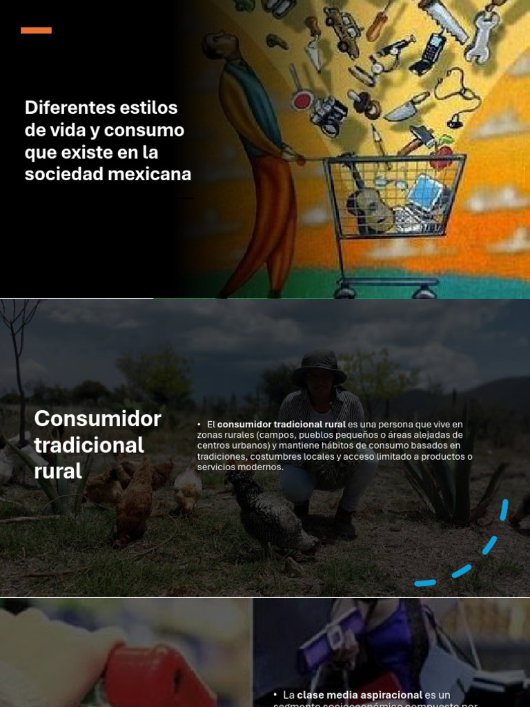 Estilos de Vida | PDF | Consumo (economía) | Los consumidores