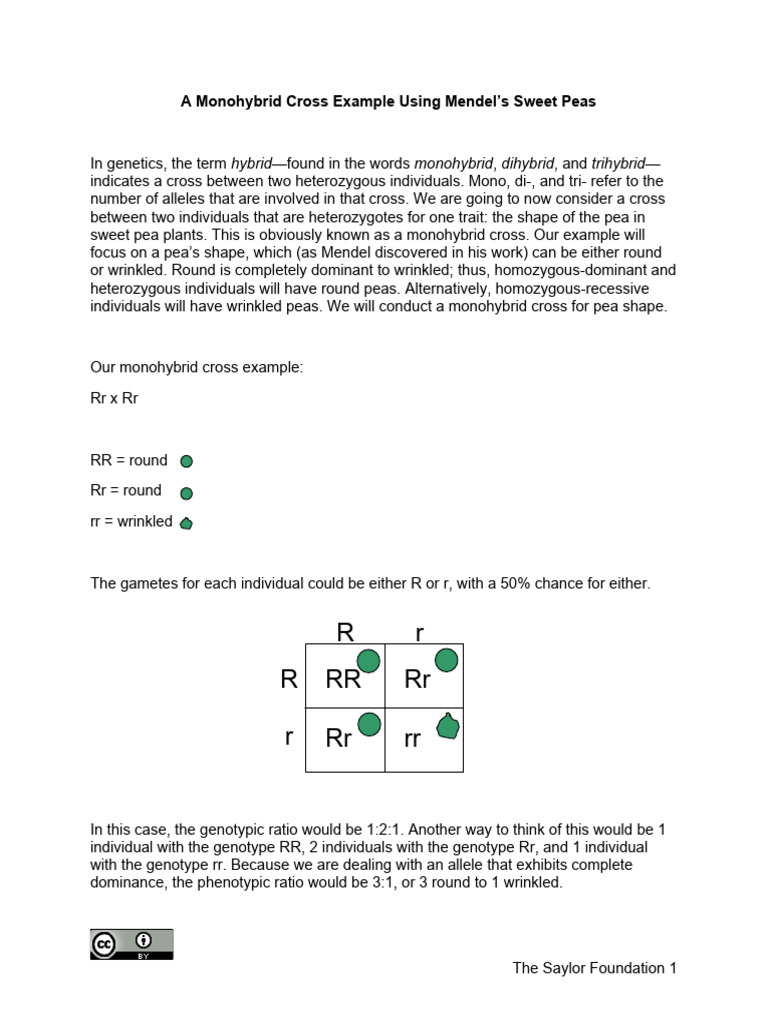 A Monohybrid Cross Example Using Mendel's Sweet Peas | PDF