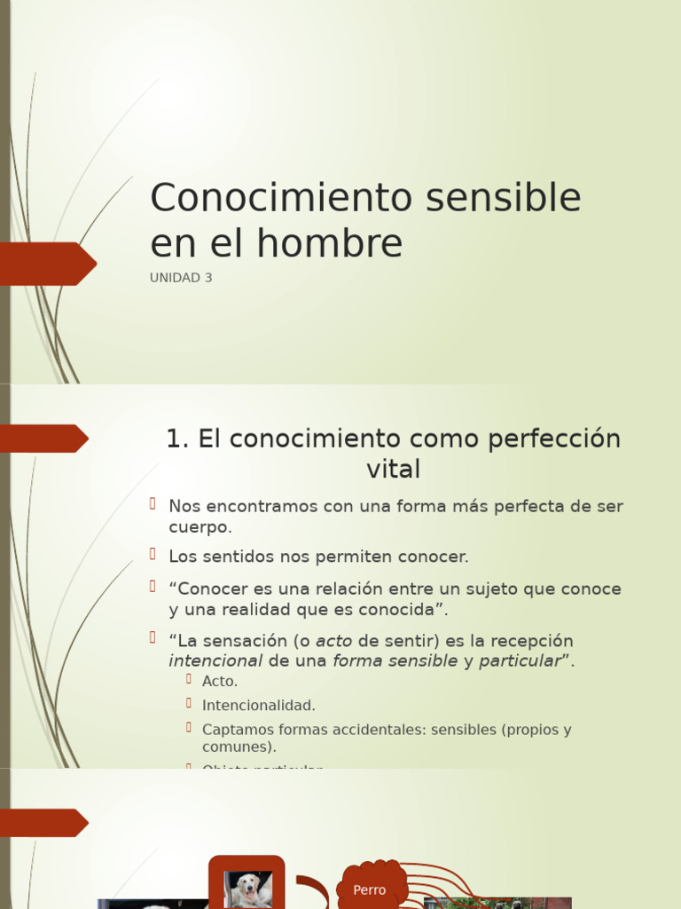 Antropología - Conocimiento Sensible | PDF | Sentidos | Conocimiento
