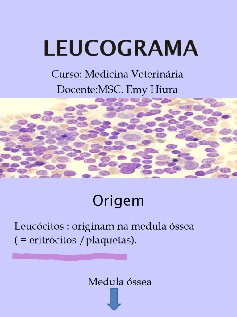 Anotacoes LEUCOGRAMA Emy | PDF | Glóbulo branco | Linfócito