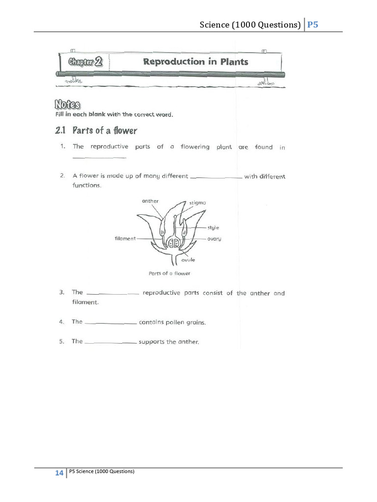 2 Reproduction in Plants | PDF