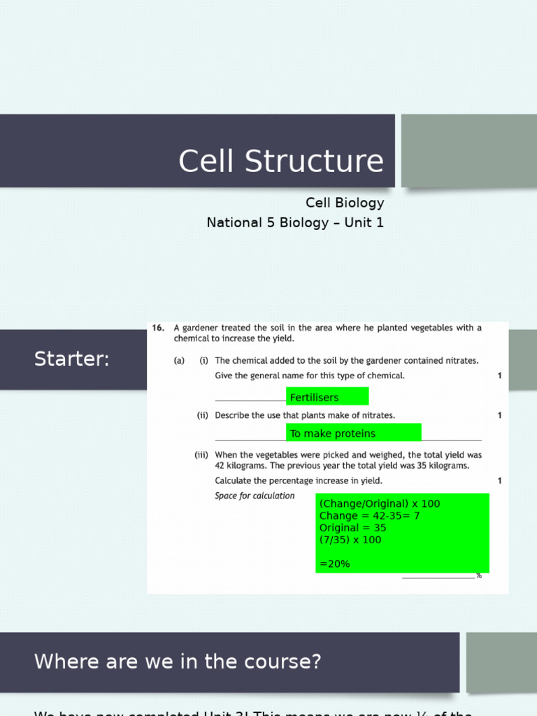 Cell Structure | PDF | Cell (Biology) | Vacuole