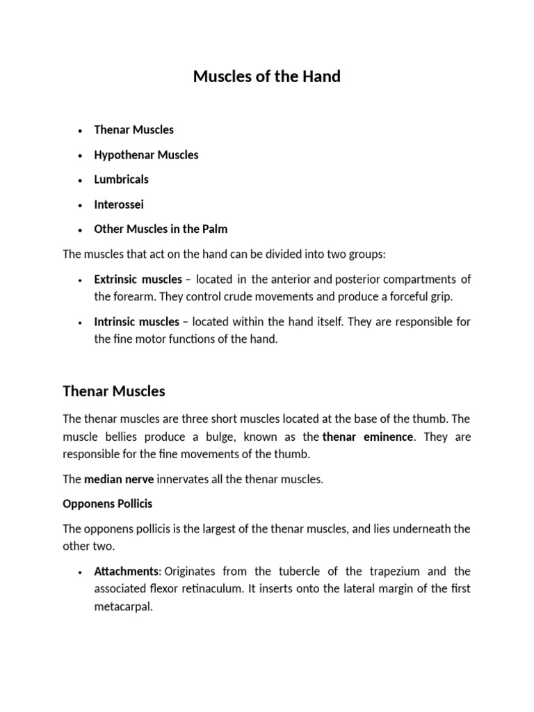 Muscles of The Hand | PDF | Thumb | Hand