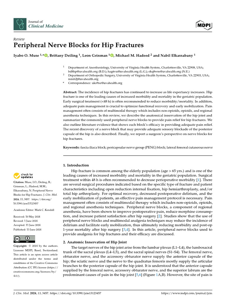 Hip Blocks | PDF | Hip | Musculoskeletal System