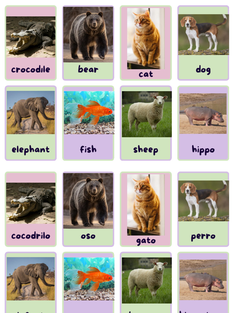 Animal Flashcards | PDF