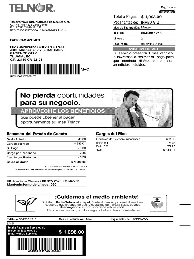 Recibo Telnor | PDF