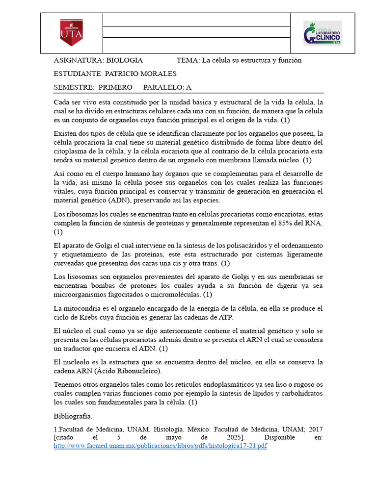 Deber de Biologia Estructura Celular 2 | PDF | Biología Celular) | Adn