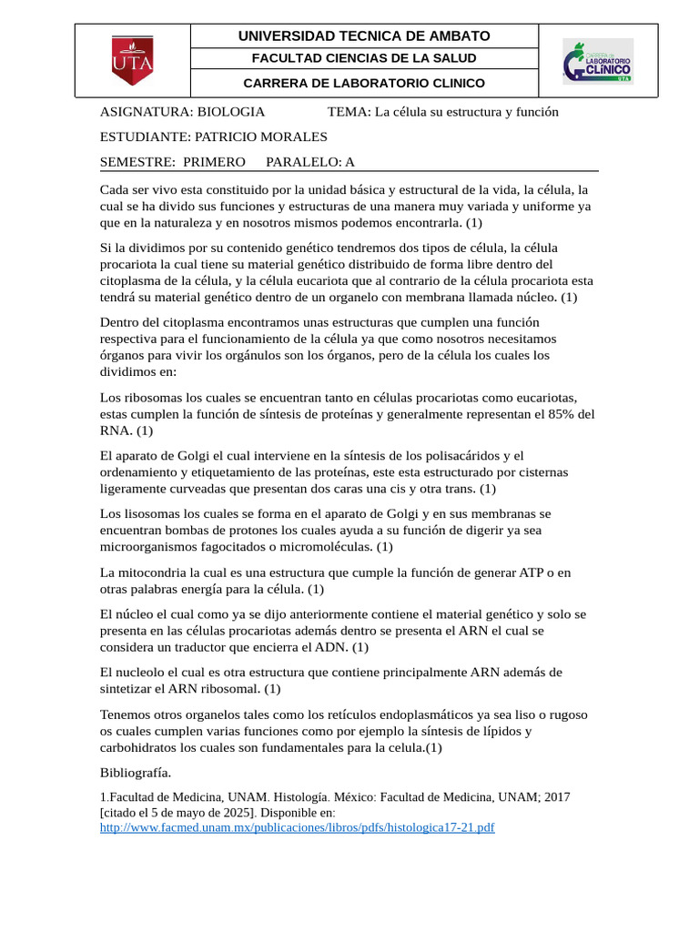 Deber de Biologia Estructura Celular | PDF | Citoplasma | Biología Celular)