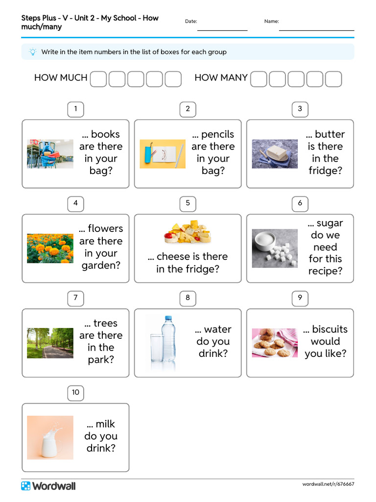 Steps Plus V Unit 2 My School How Much Many Group Sort | PDF