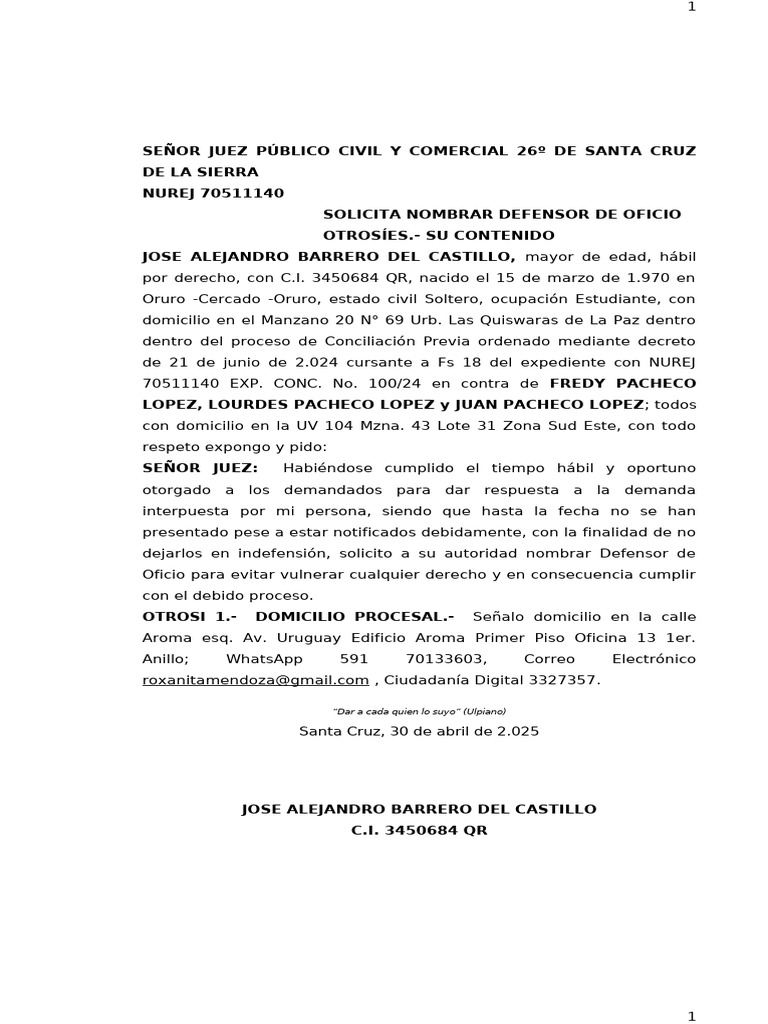 Solicita Defensor Oficio Alejandro Barrero SCZ | PDF