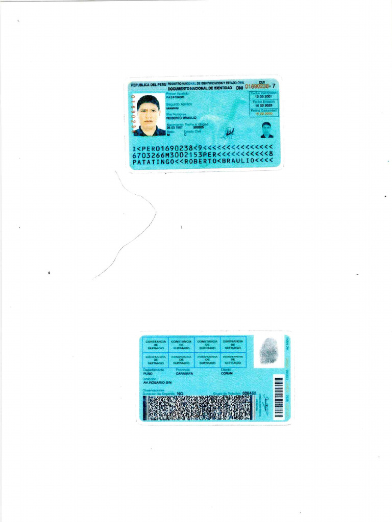 Dnis de Socios | PDF