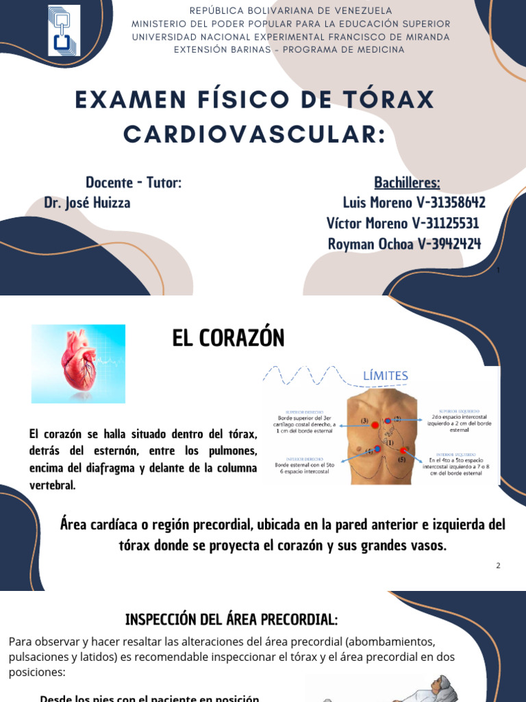Exploración del Área Precordial | PDF | Corazón | Tórax (anatomía humana)