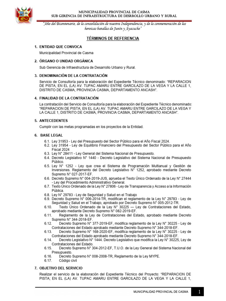 TDR EXP TEC 1 | PDF | Presupuesto