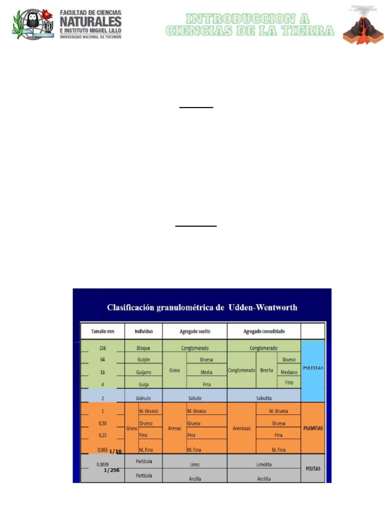 TP 4 Rocas Sedimentarias Clasticas y No Clasticas | PDF