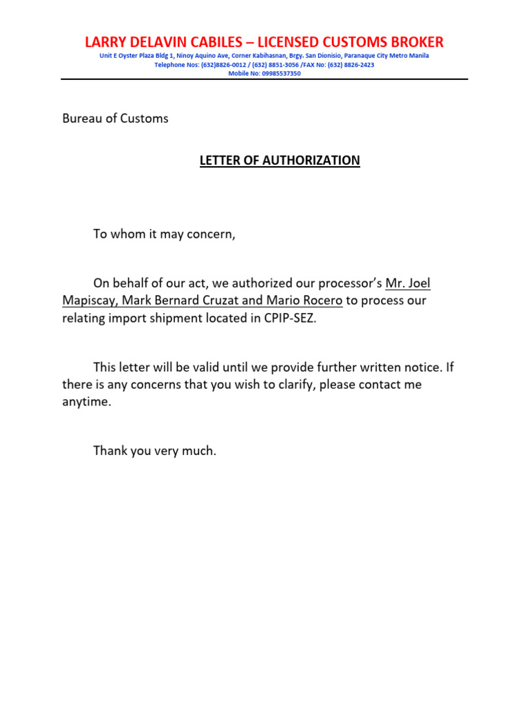 Authorization Processor Cipl2sadadas | PDF