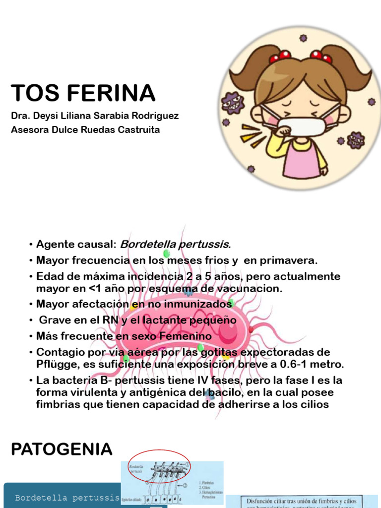 Tos Ferina | PDF | Tos | Especialidades Medicas