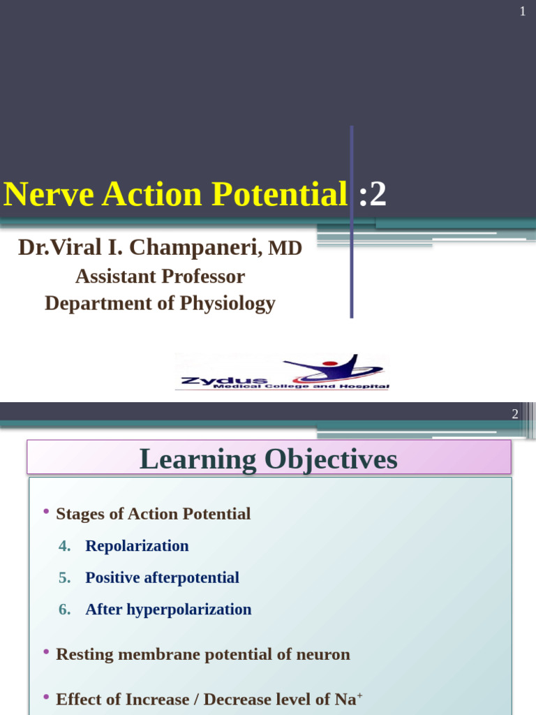 03 Nerve Action Potential | PDF | Action Potential | Membrane Potential