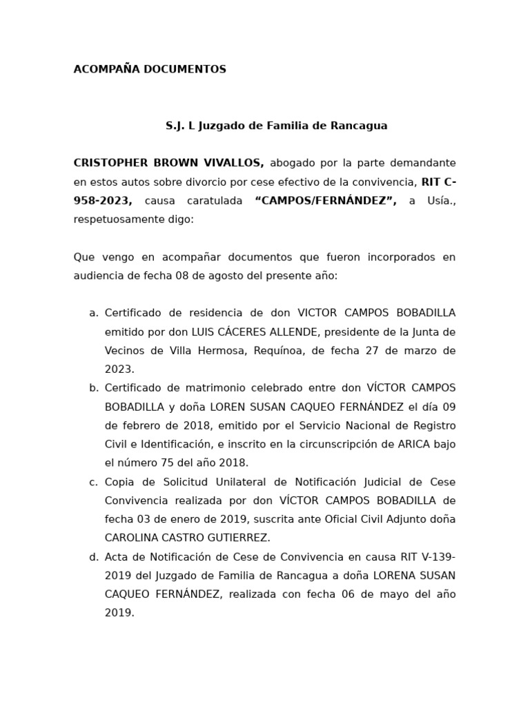 Acompaña Documentos Juicio | PDF