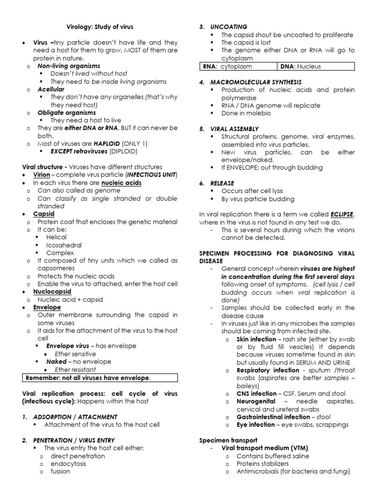 Virology-PF | PDF | Virus | Tree Of Life (Biology)
