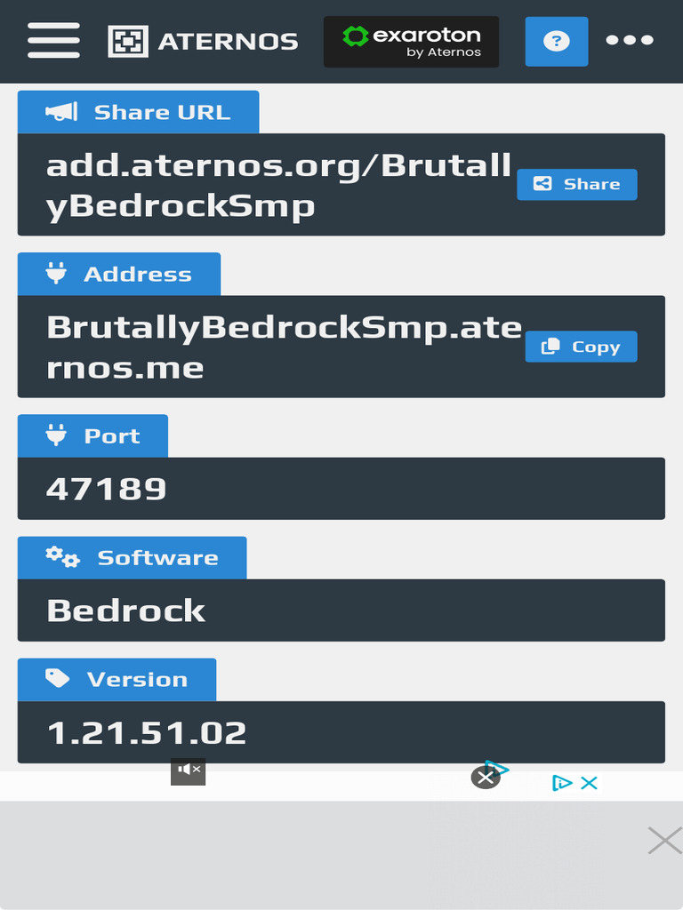 Server Aternos Free Minecraft Server 2 | PDF