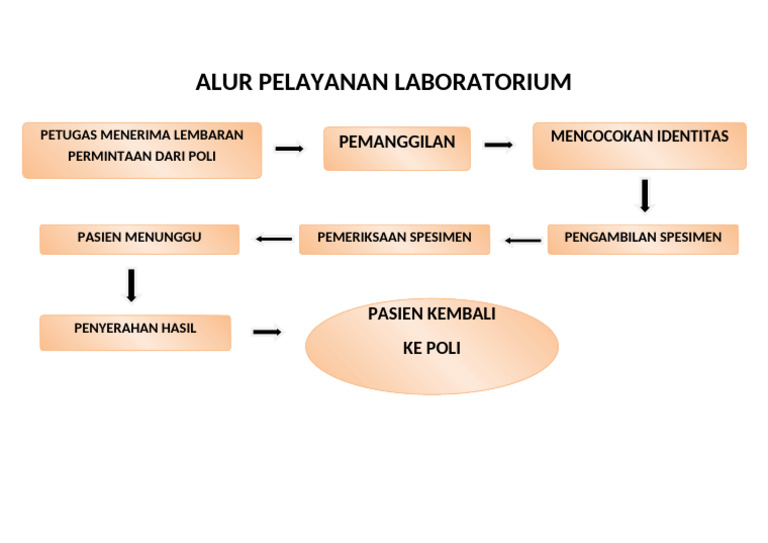 Alur Pelayanan Laboratorium | PDF