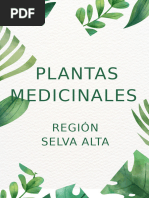 Plantas Medicinales de La Sierra | PDF
