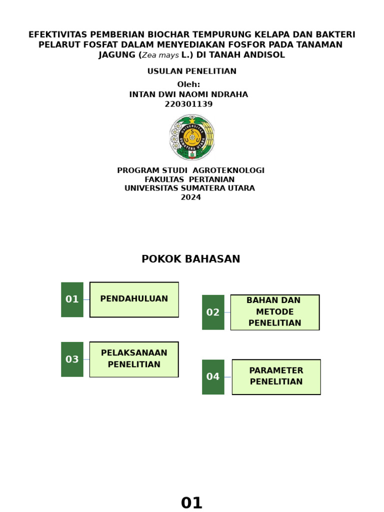 Metopel Intan Dwi Naomi | PDF