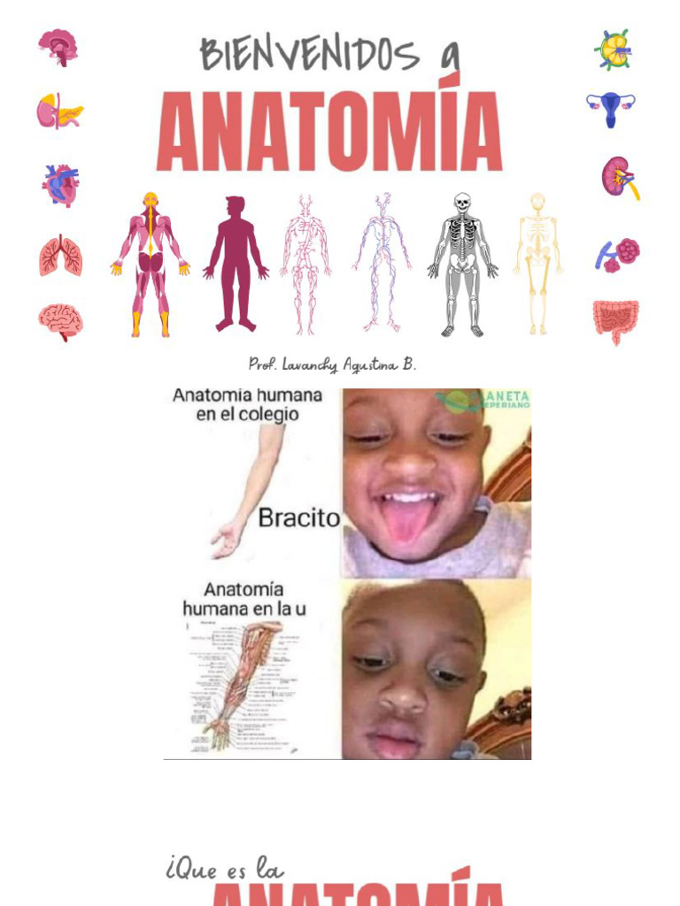 03 - BIO2 - ODC. | PDF