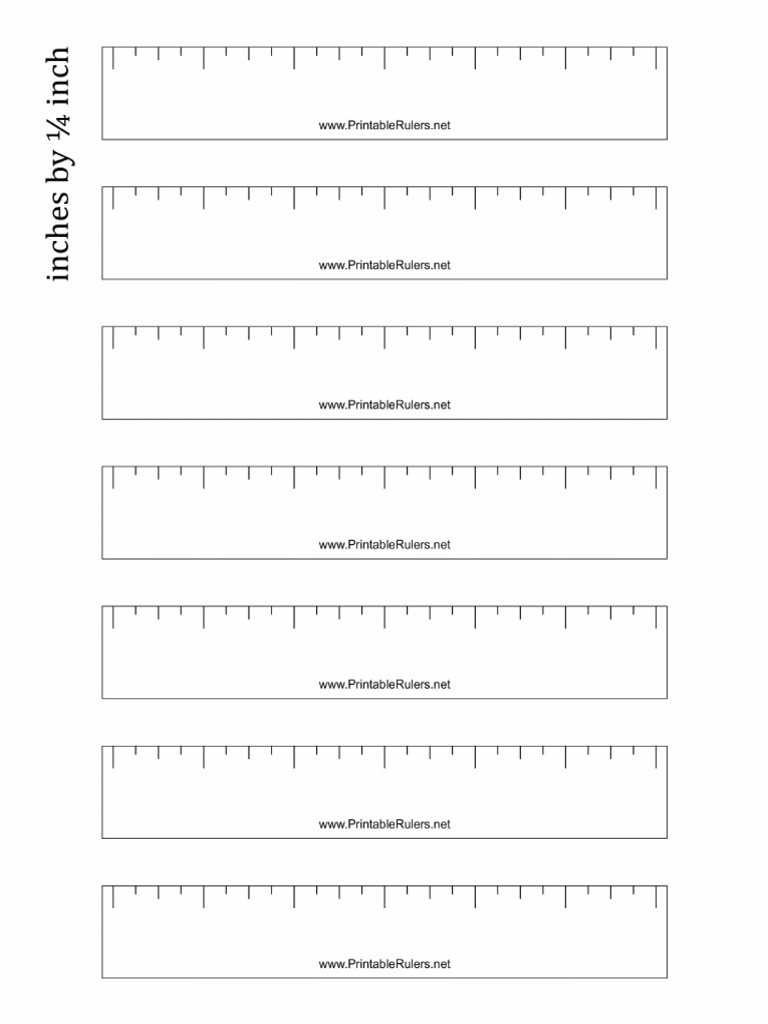 Blank Inch Classroom Rulers | PDF