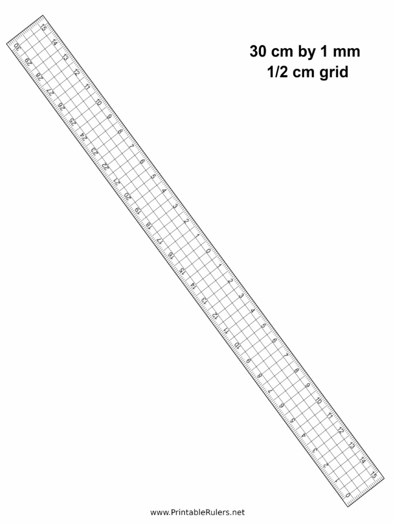30cm Ruler Half-Centimeter Grid | PDF