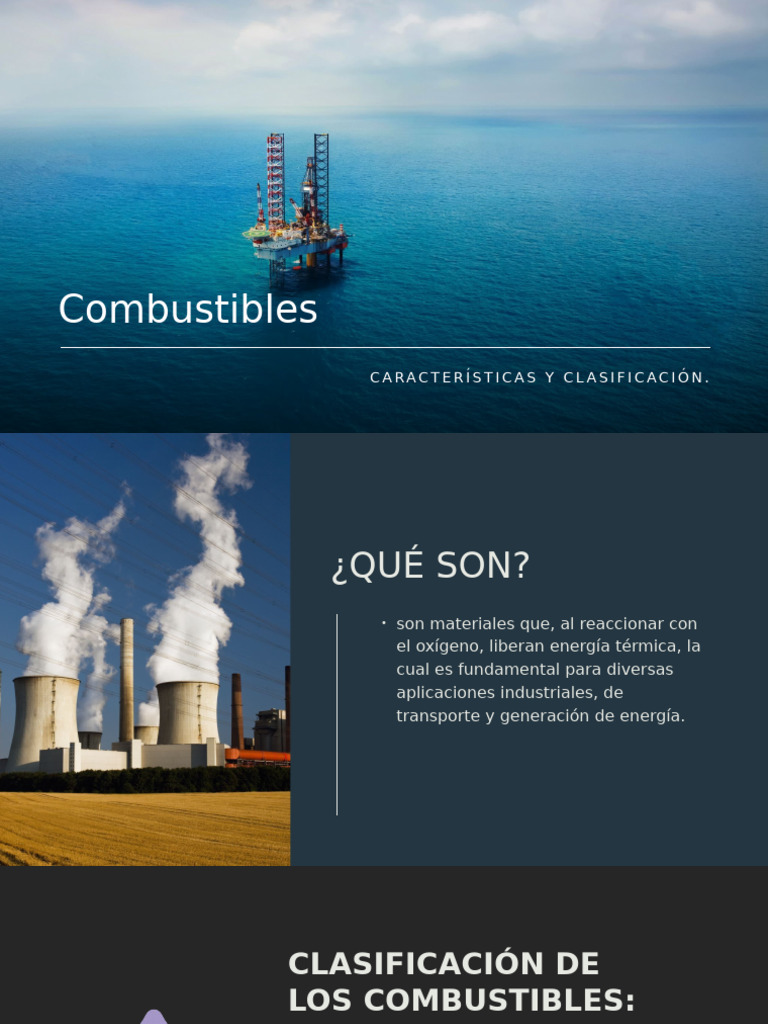 Combustibles | PDF | Combustibles | Biomasa