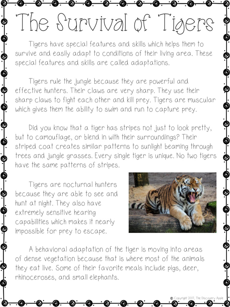 Tiger Behavioral Adaptations for Survival | PDF | Tiger | Predation