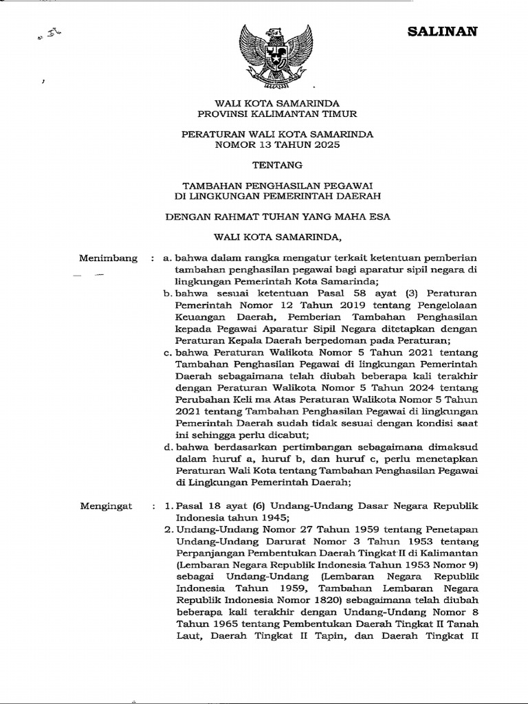 Perwali No 13 Tahun 2025 Tentang TPP | PDF