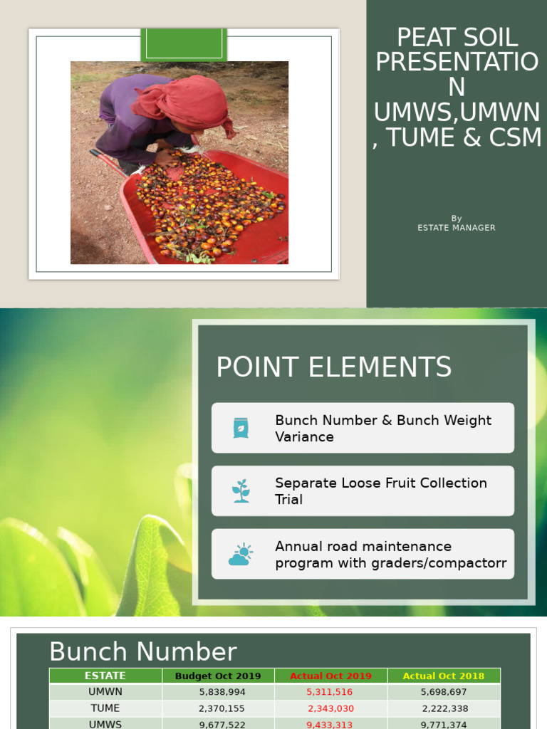 Peat Soil Presentation | PDF