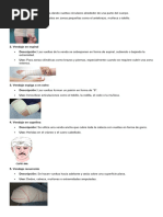 Técnicas de Vendajes | PDF