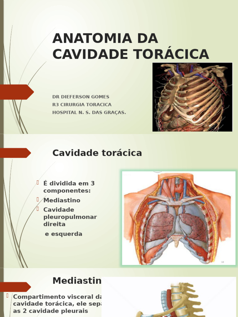 ANATOMIA DA CAVIDADE TORÁCICA2 | PDF