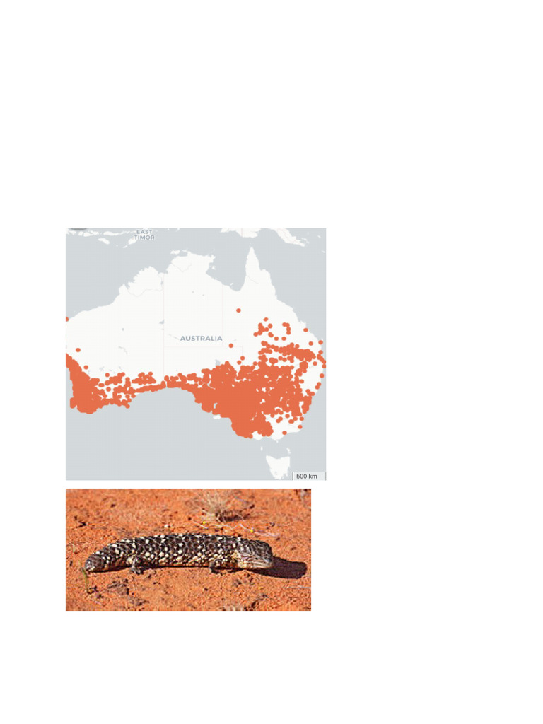 Classification Shingleback | PDF