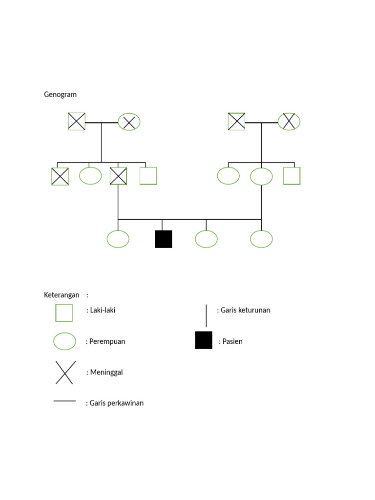 Genogram 2 ASMA | PDF