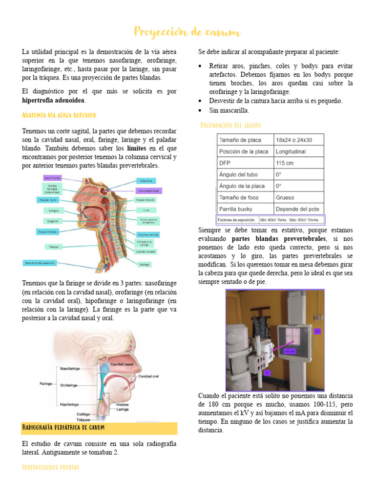 Cavum | PDF