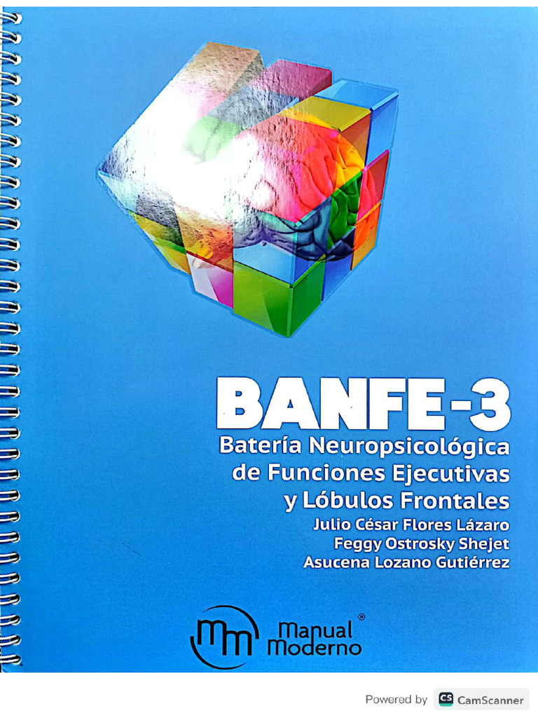 BANFE-3 - Compressed | PDF