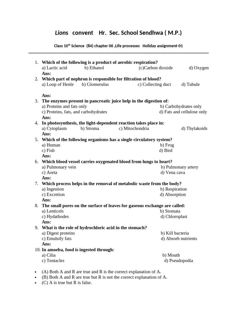 Class10th Home Assignment 2025-26 NK | PDF | Circulatory System | Blood