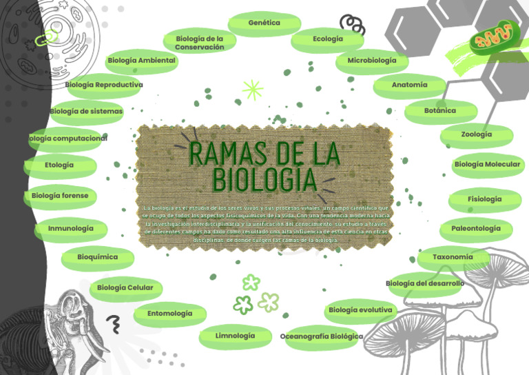 Ramas de La Biología | PDF