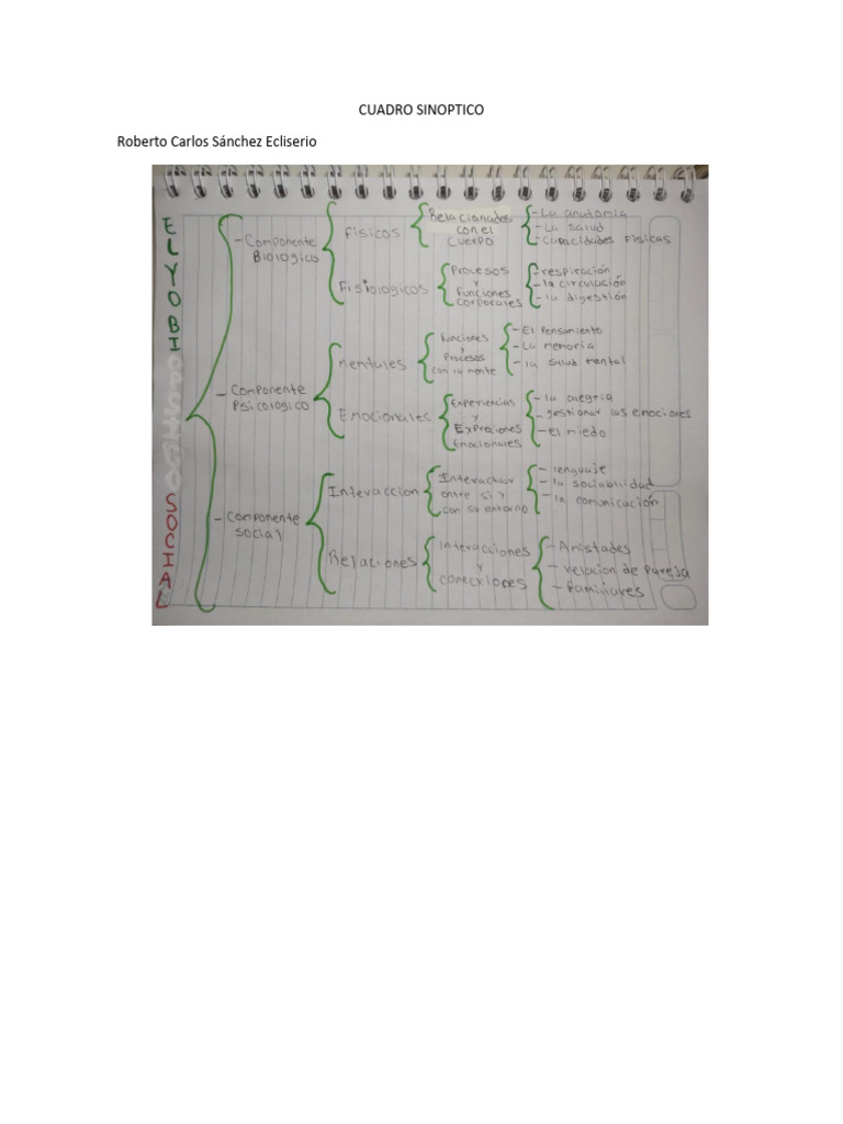 Cuadro Sinoptico | PDF