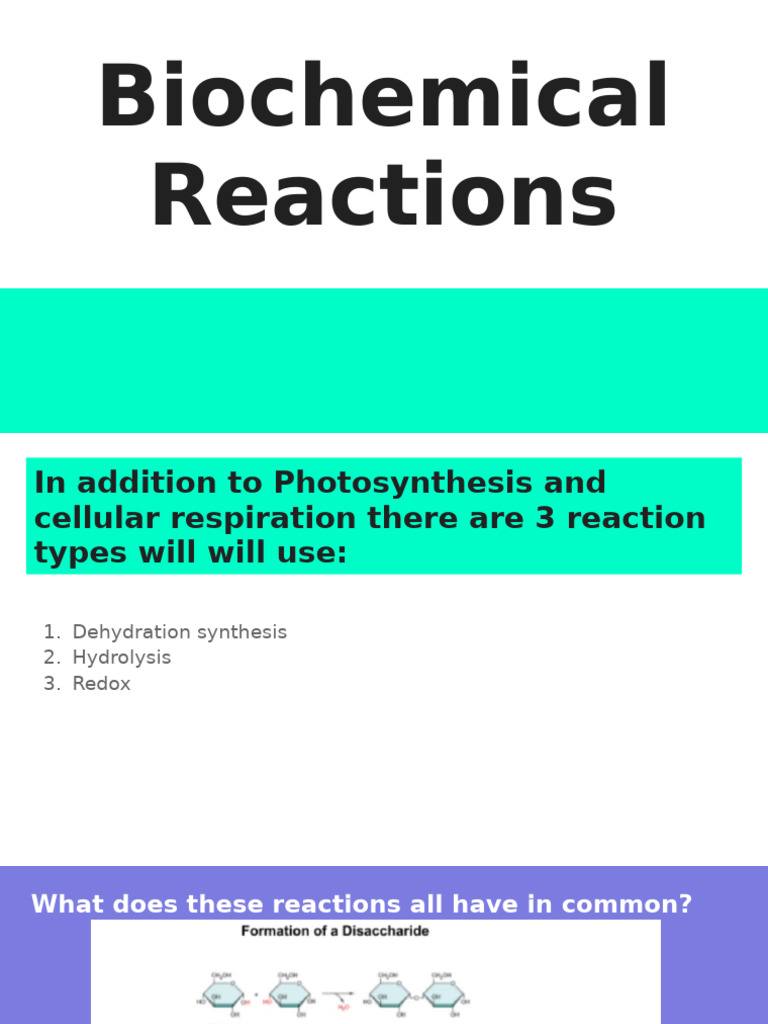 Biochemical Reactions | PDF | Redox | Chemical Reactions