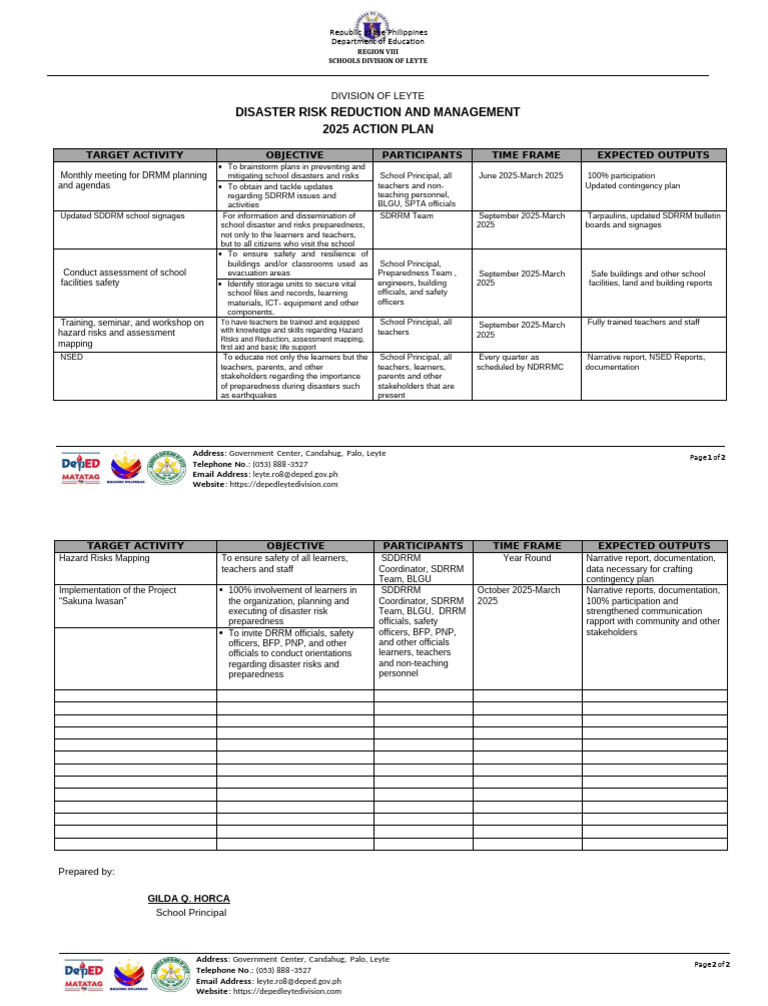 DRRM Action Plan Template | PDF | Emergency Management | Teachers