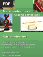 Macromolecule Comparison Table PDF | PDF | Macromolecules | Carbohydrates