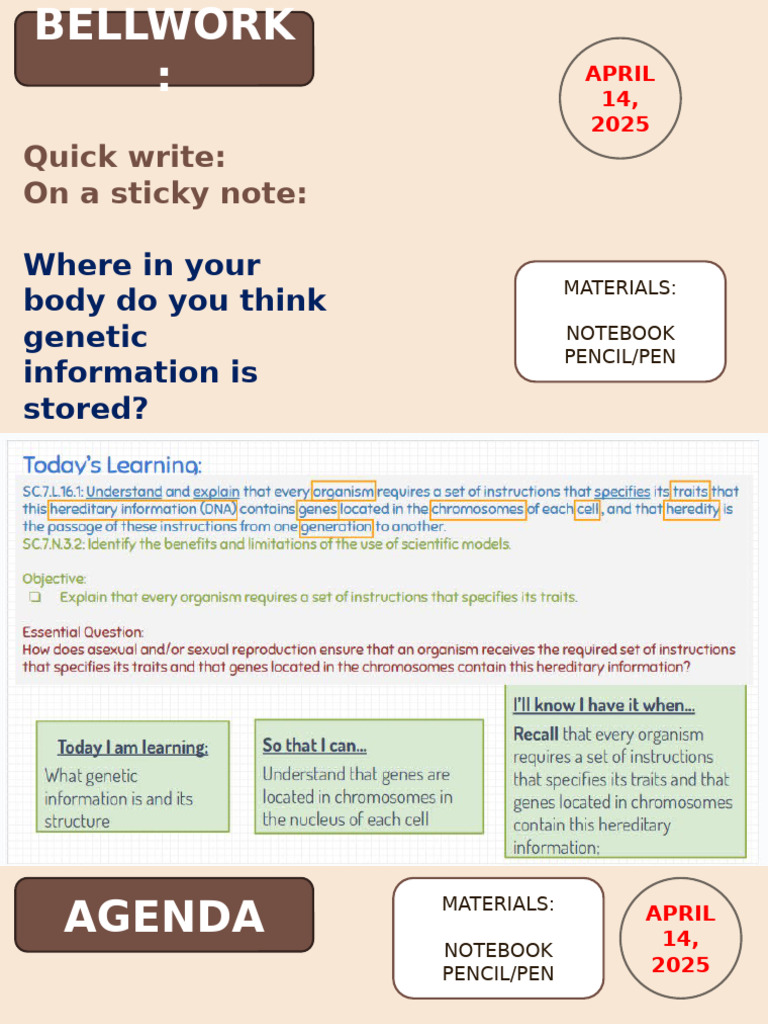04-14-25 - DNA Genetic Material Notes | PDF | Genetics | Gene