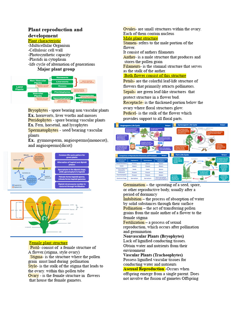 Grade 12 Biology Reviewer | PDF | Embryo | Sexual Reproduction